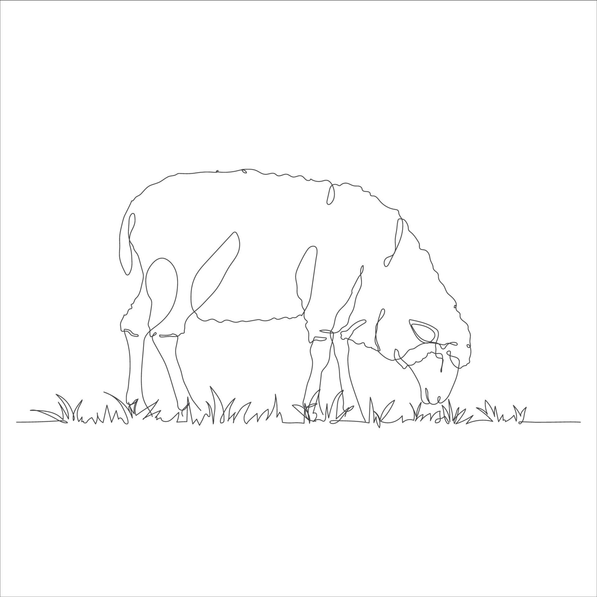 Gi Registration Of Karoo Lamb | Department of Agriculture – BYAMJ